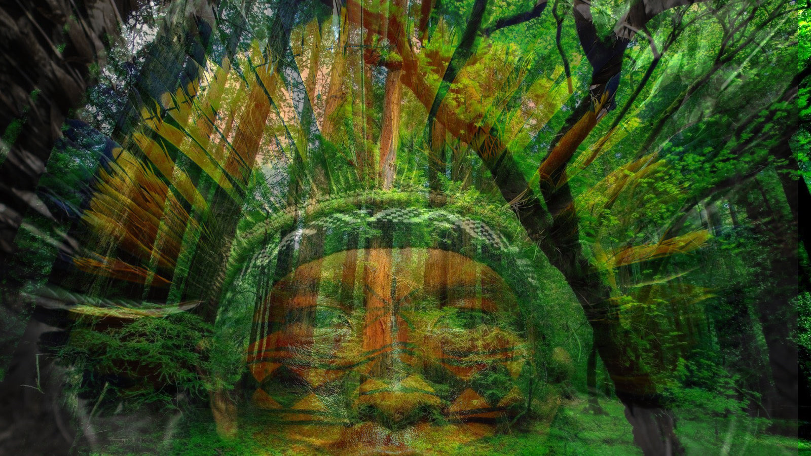 Unlocking Healing Potentials: A Journey with Amazonian Master Plants ...
